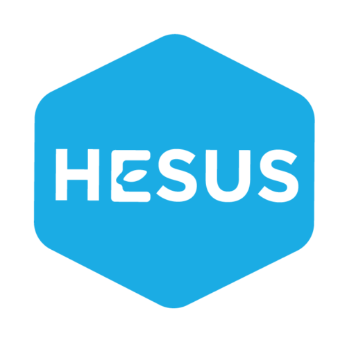 Hexaly